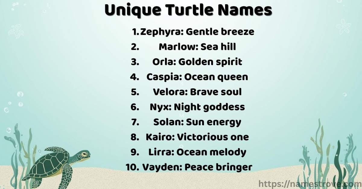 374+ Best Turtle Names: Cute, Funny & Unique Ideas - Names Trove