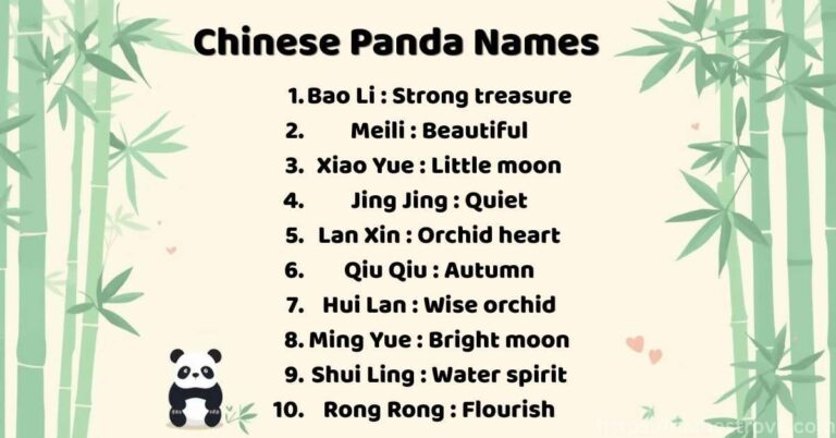 450+ Panda Names: Cute, Cool, Funny & Unique Ideas - Names Trove