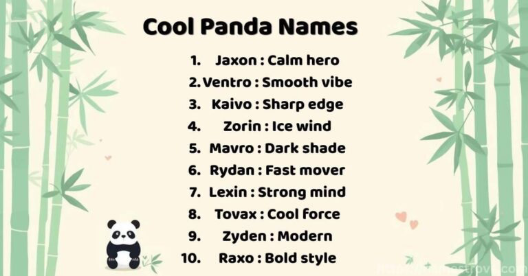 450+ Panda Names: Cute, Cool, Funny & Unique Ideas - Names Trove