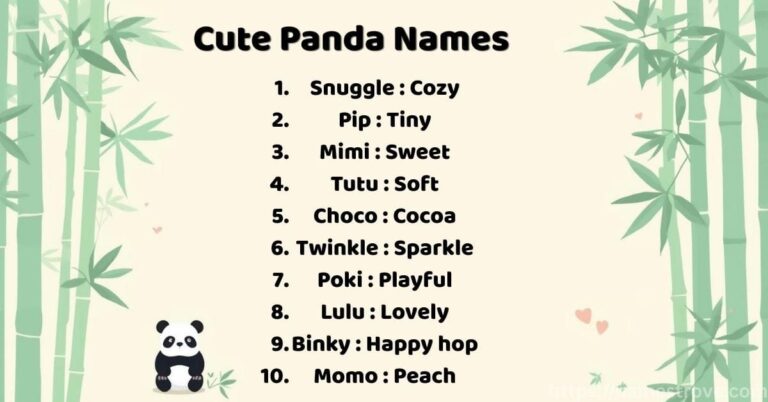 450+ Panda Names: Cute, Cool, Funny & Unique Ideas - Names Trove