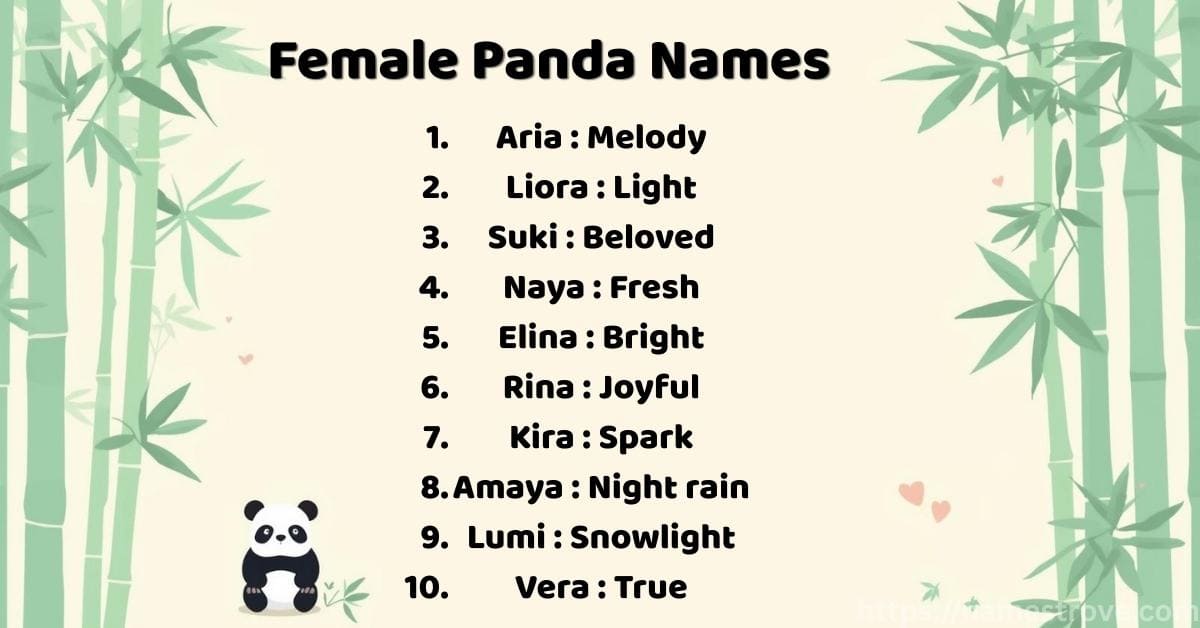 450+ Panda Names: Cute, Cool, Funny & Unique Ideas - Names Trove