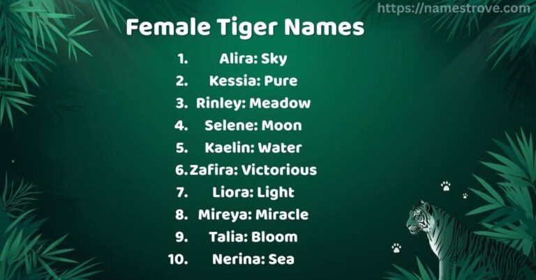 419+ Tiger Names: Fierce, Cute & Unique Ideas - Names Trove