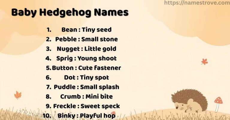 Hedgehog Names: 300+ Cute, Funny & Unique Ideas (2026) - Names Trove