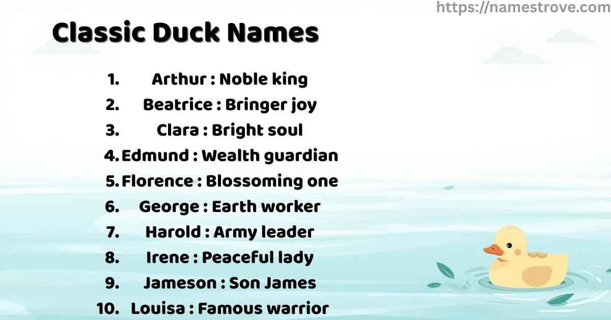 Duck Names: 320+ Cute, Funny & Unique Picks - Names Trove