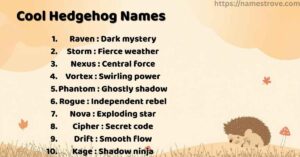 Hedgehog Names: 300+ Cute, Funny & Unique Ideas (2026) - Names Trove
