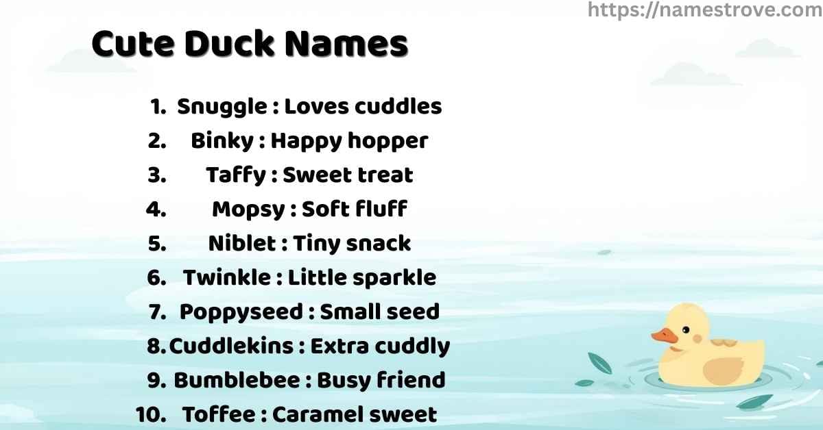Duck Names: 320+ Cute, Funny & Unique Picks - Names Trove